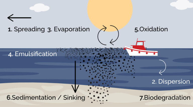 Marine Transportation and The Environment: Oil Spills From Ships ...